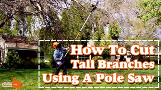How to Use a Pole Saw - Advanced 6 Steps Guide (2020)