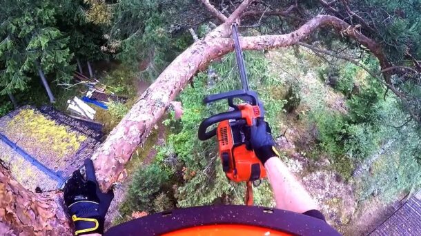 How To Cut Tree Limbs or Branches That Are Too High To Reach - Easy ...