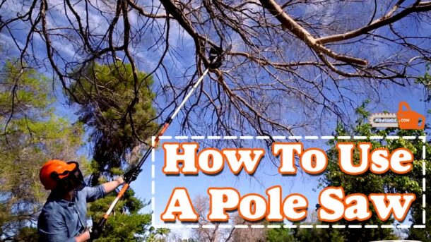 How to Use a Pole Saw - Advanced 6 Steps Guide (2020)